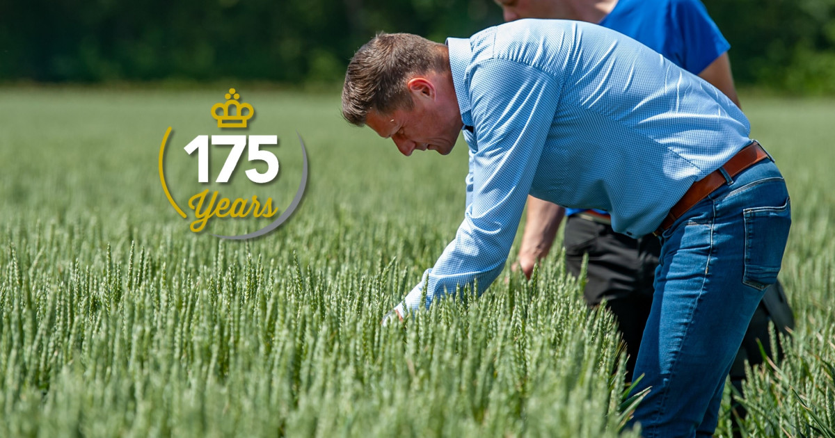 Royal Koopmans celebrates its 175th anniversary this year: pioneers in ...