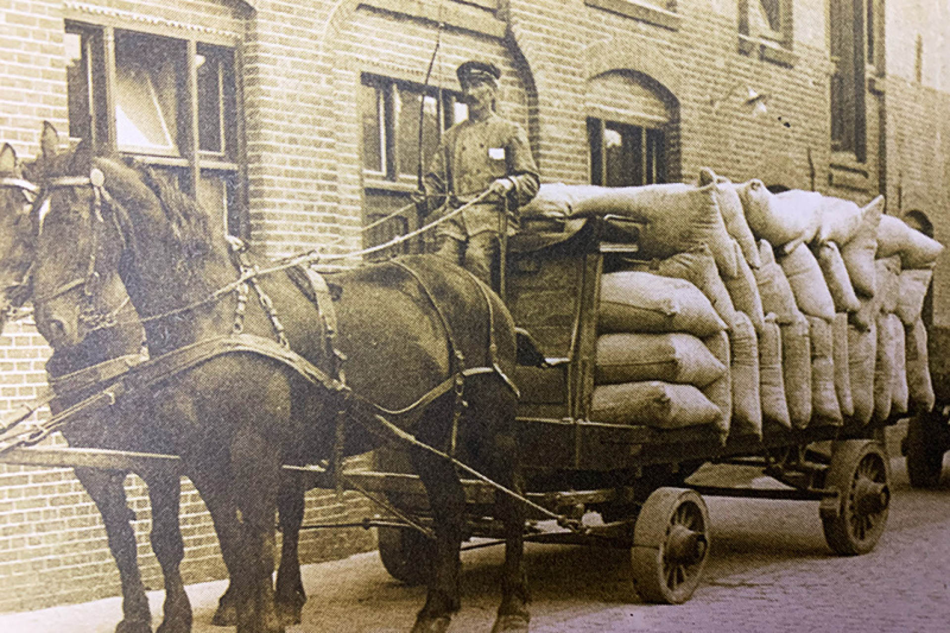 The history of Koopmans › Royal Koopmans